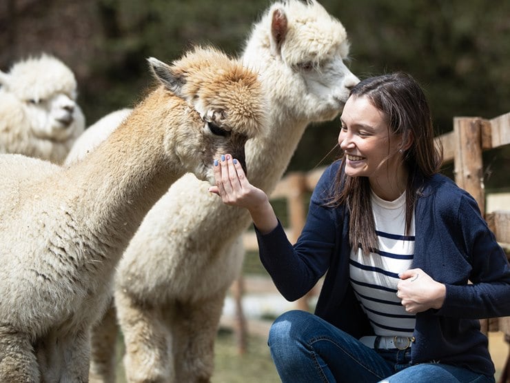 Temecula Hotels | Everhome Suites Temecula